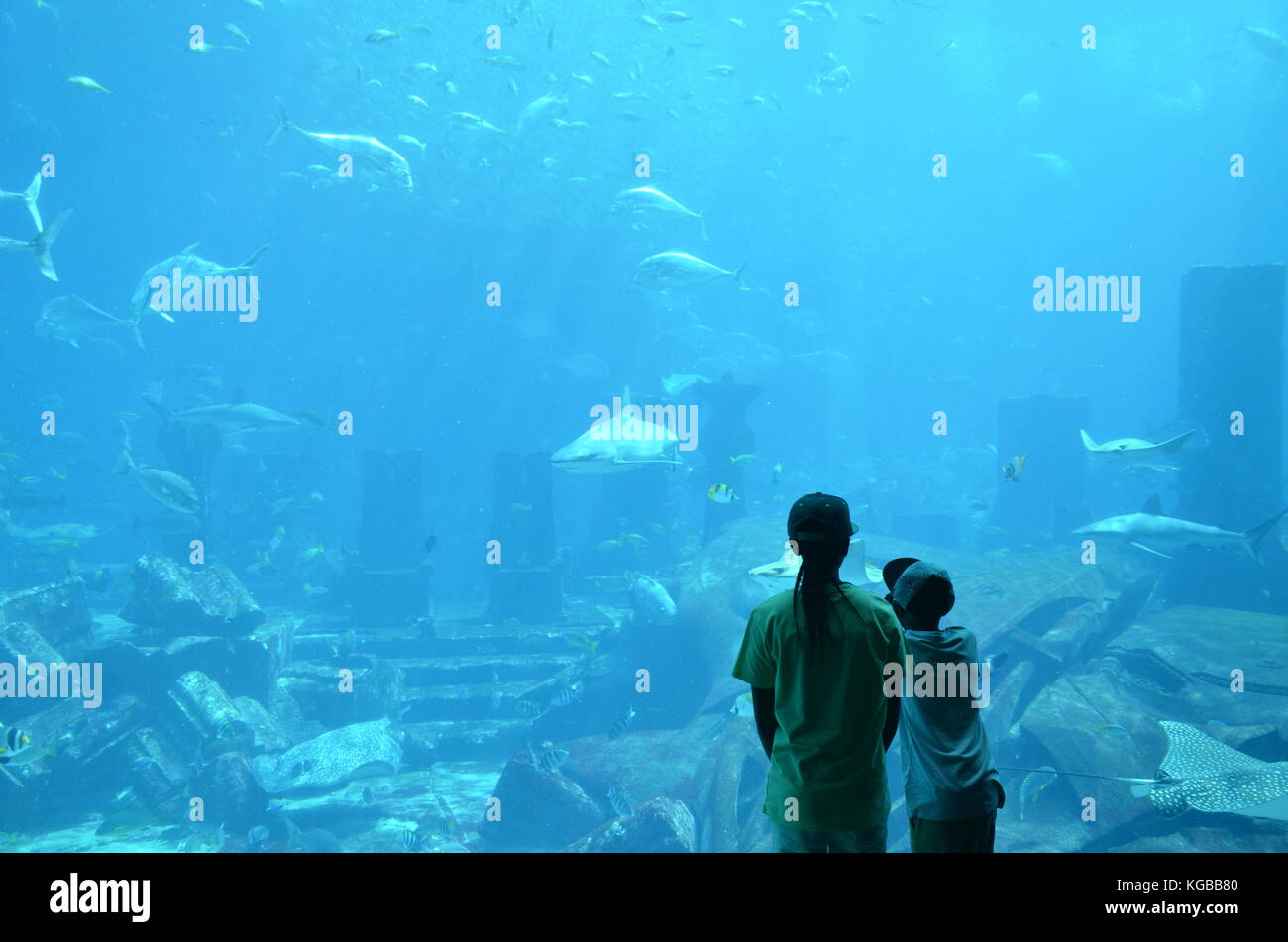 Kids viewing fishes at the aquarium at Atlantis The Palm,Dubai Stock ...