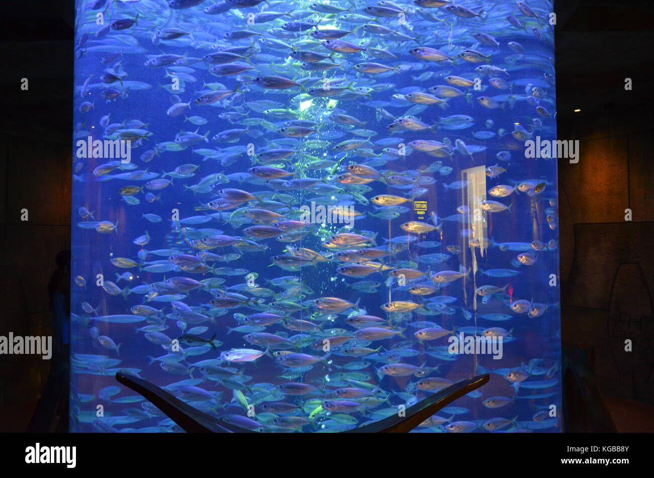 Atlantis Themed Fish Tank