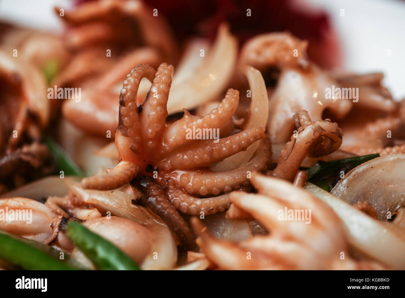 Boiled octopus. Close-up photo and macro photography. Food concept ...