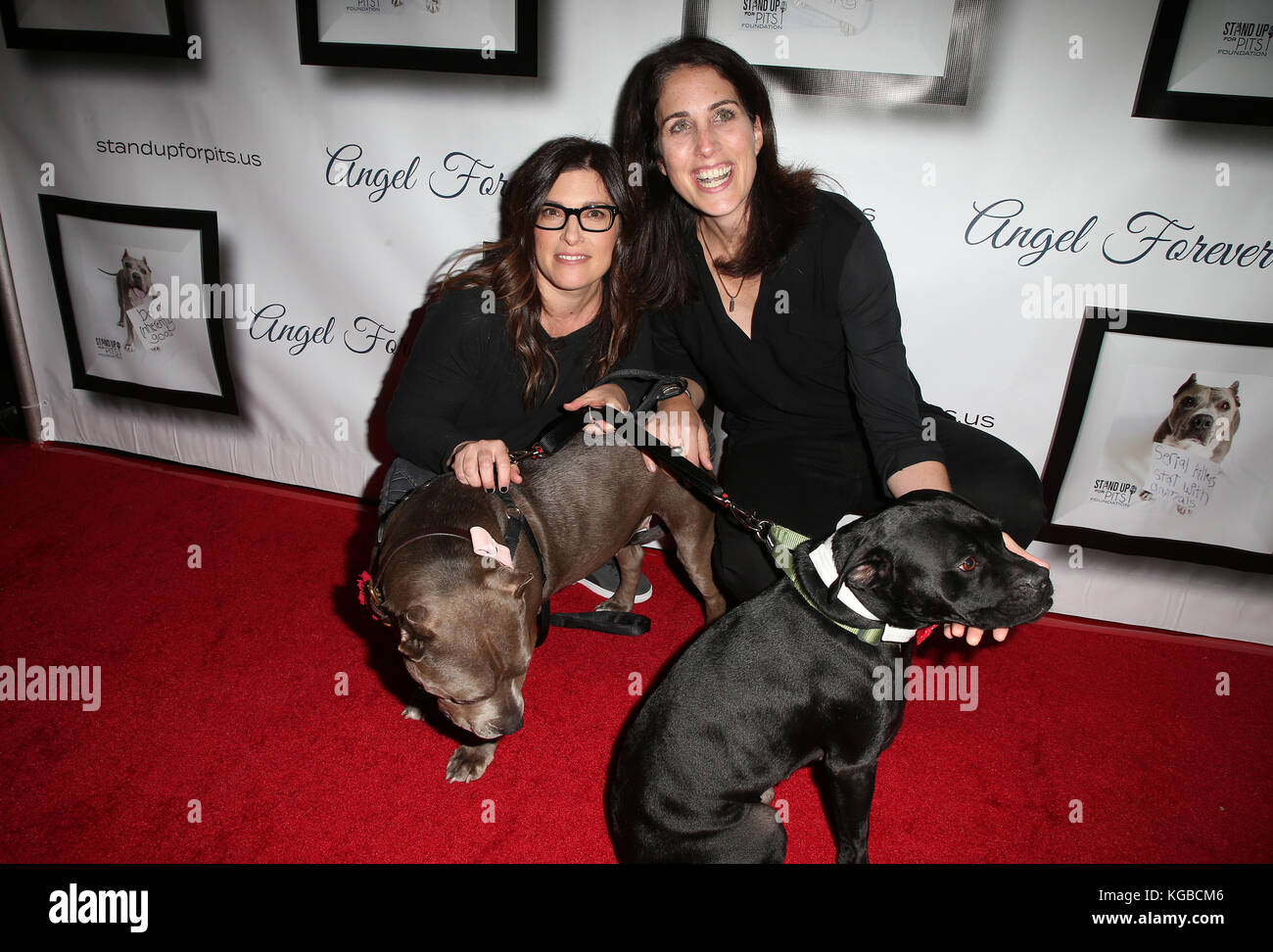 Hollywood, Ca. 5th Nov, 2017. Rebecca Corry, Guest, at 7th Annual Stand ...