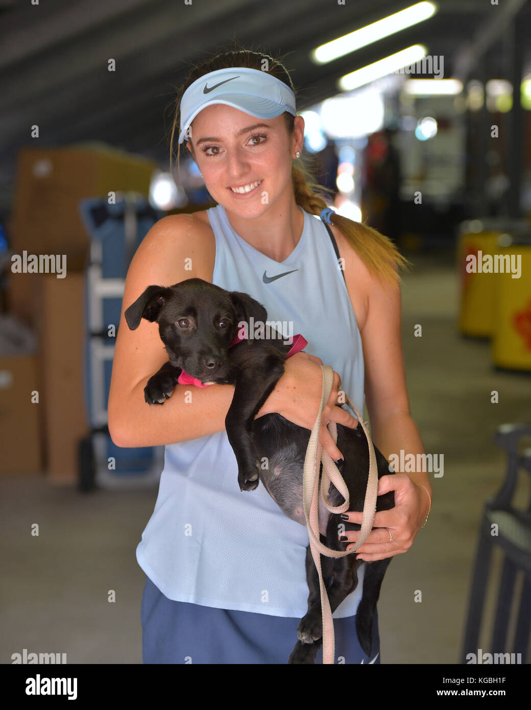 Cici bellis hi-res stock photography and images - Alamy