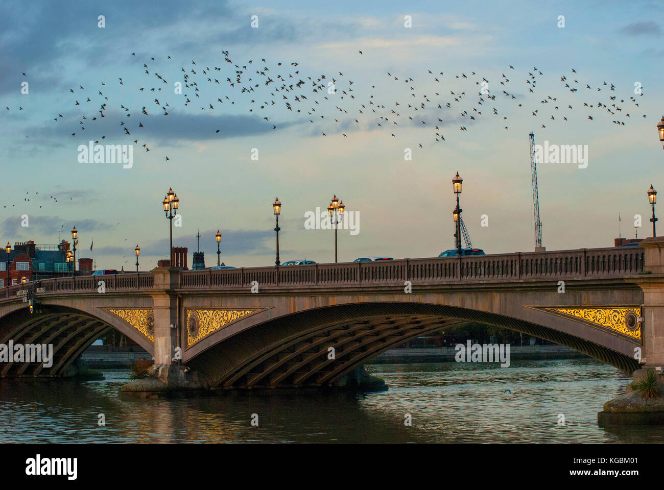 London, UK. 06th Nov, 2017. A murmuration of starlings over Battersea ...