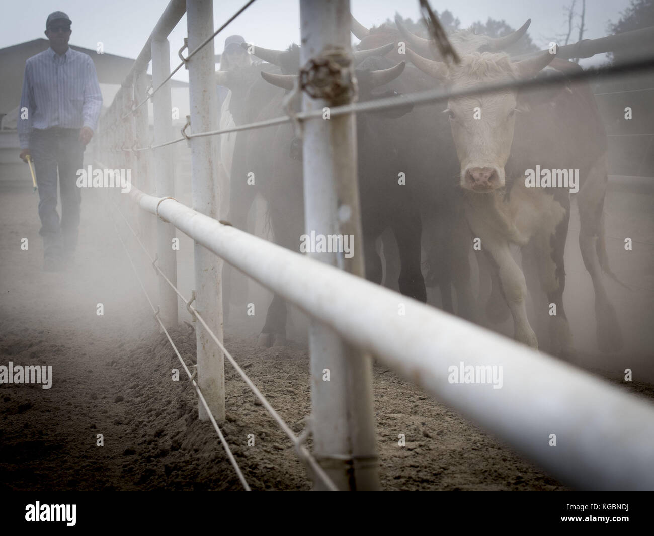 Cowboy hat 1800s hi-res stock photography and images - Alamy