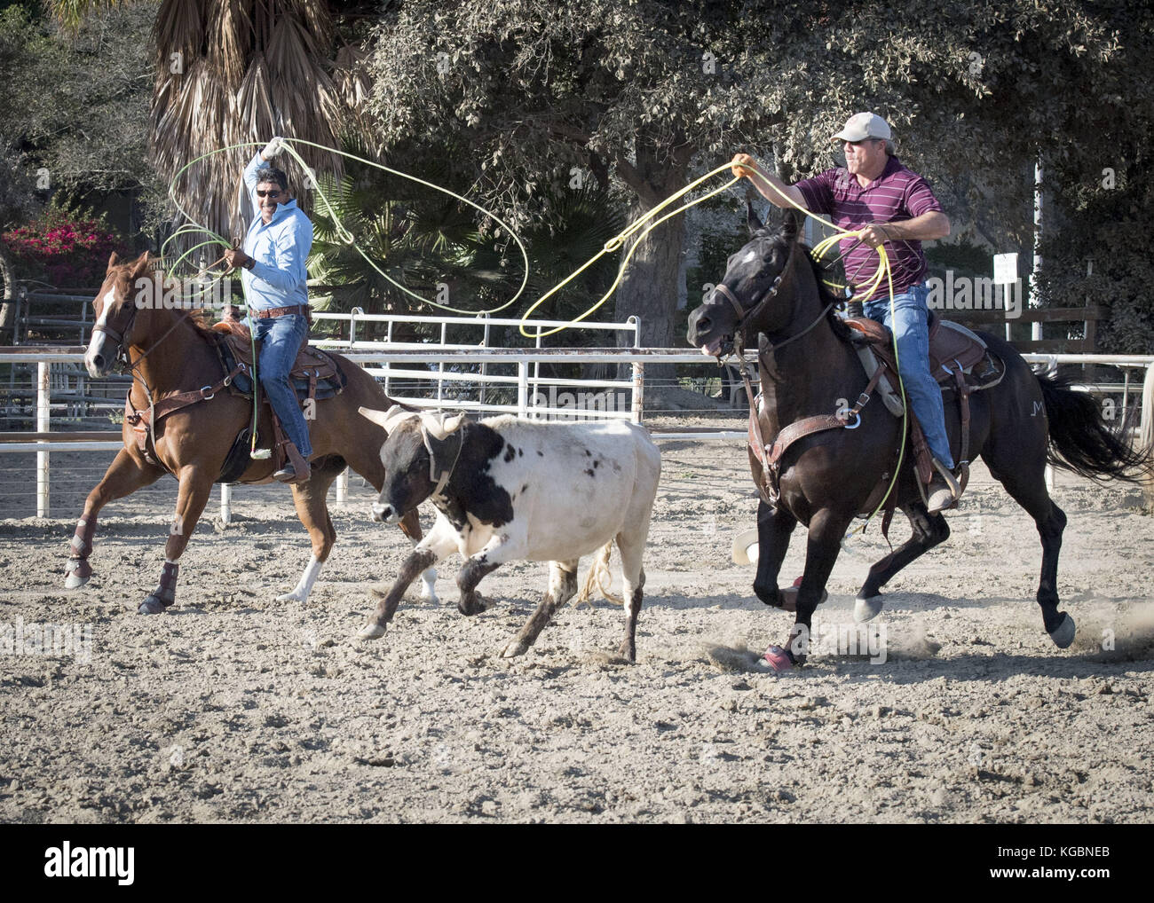 Old west rodeos hi-res stock photography and images - Alamy