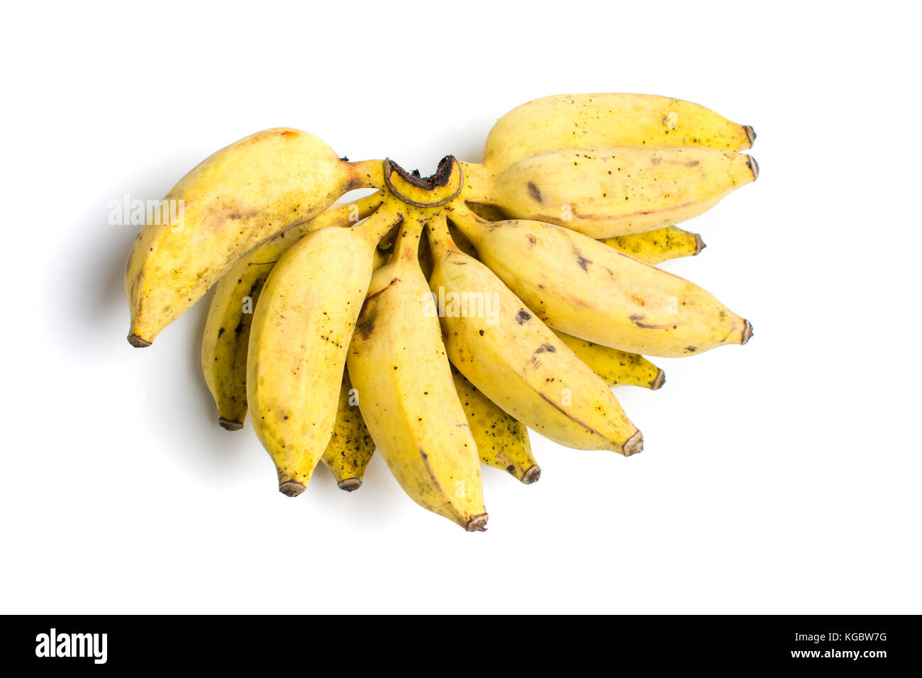 Small tropical banana cluster isolated on white background Stock Photo ...
