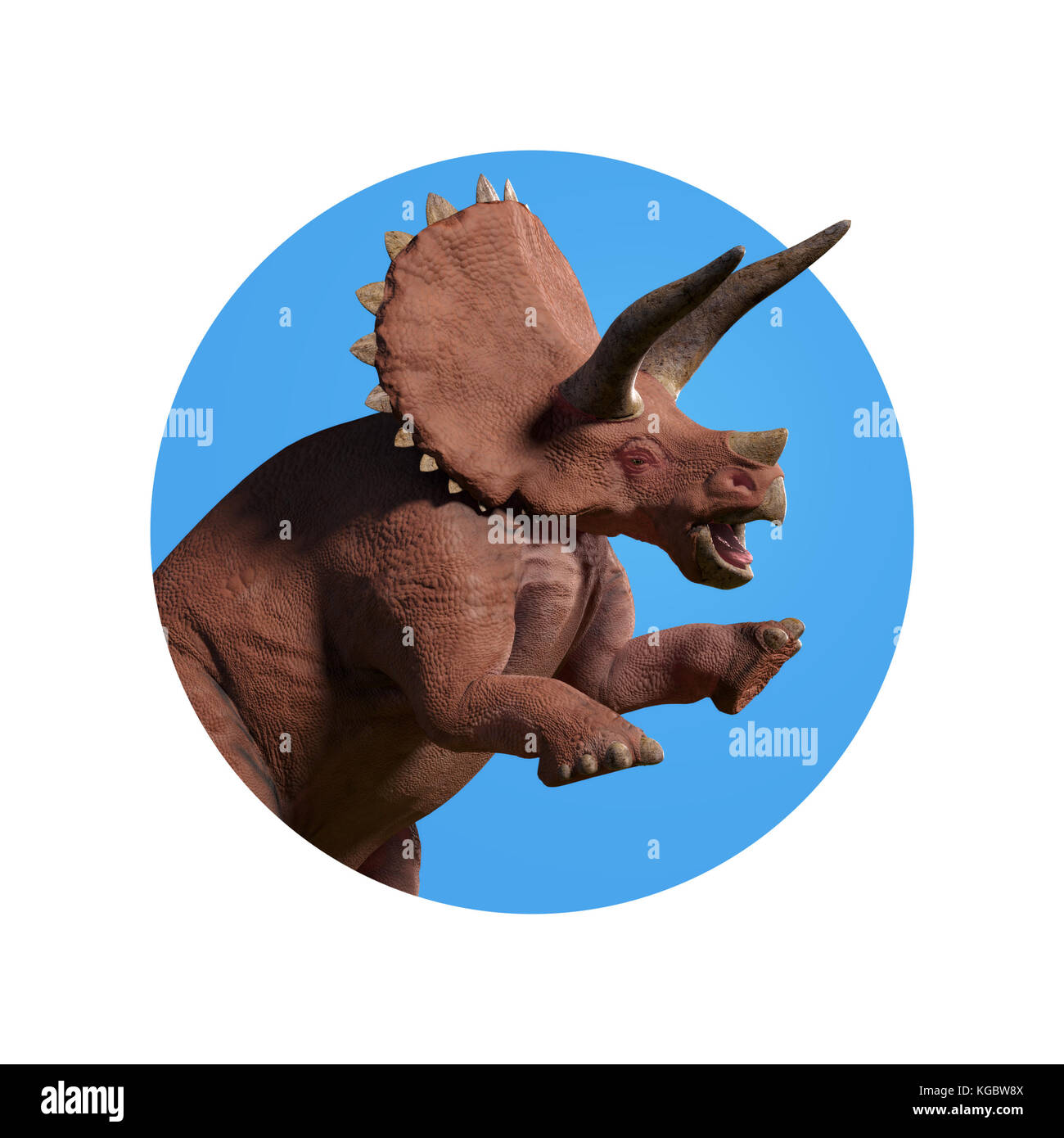 Triceratops dinosaur 3d render hi-res stock photography and images - Alamy