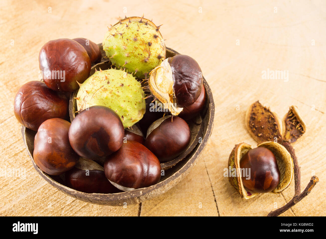 Wild chestnuts with shells in coconut natural bowl Stock Photo - Alamy