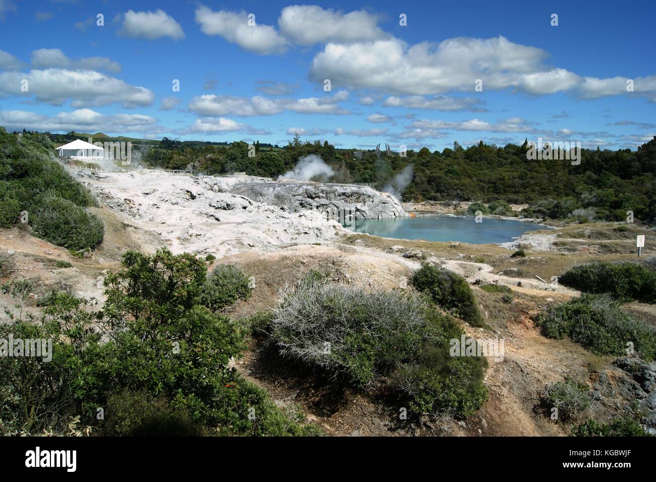 Thermal Park, Rotorua, New Zealand Stock Photo - Alamy