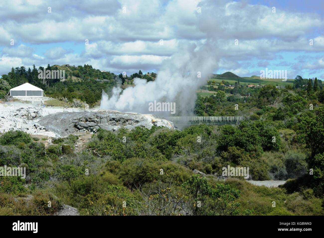 Thermal Park, Rotorua, New Zealand Stock Photo - Alamy