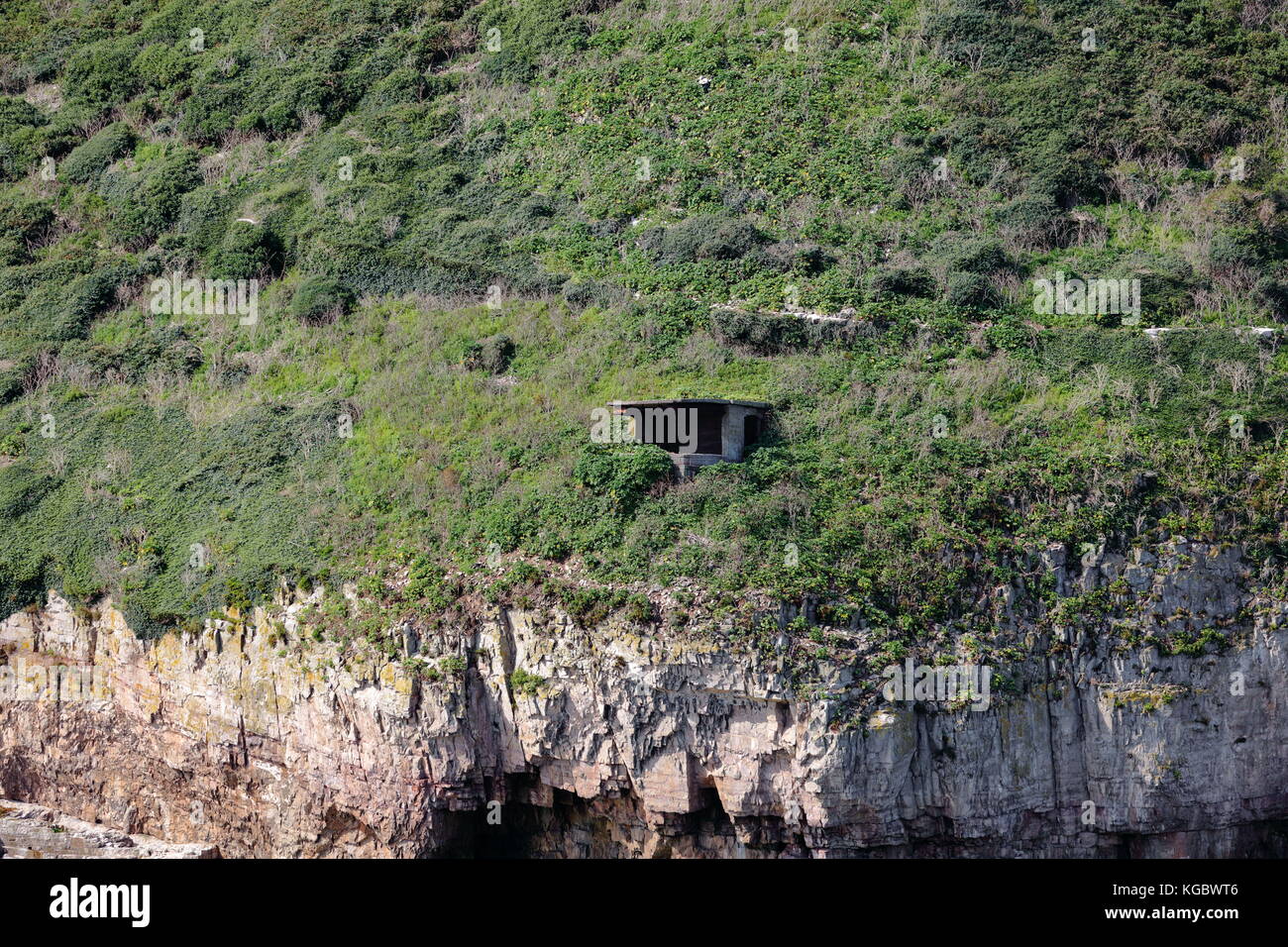 Geological rock structures on Steep Holm Island, UK. Shows an ...