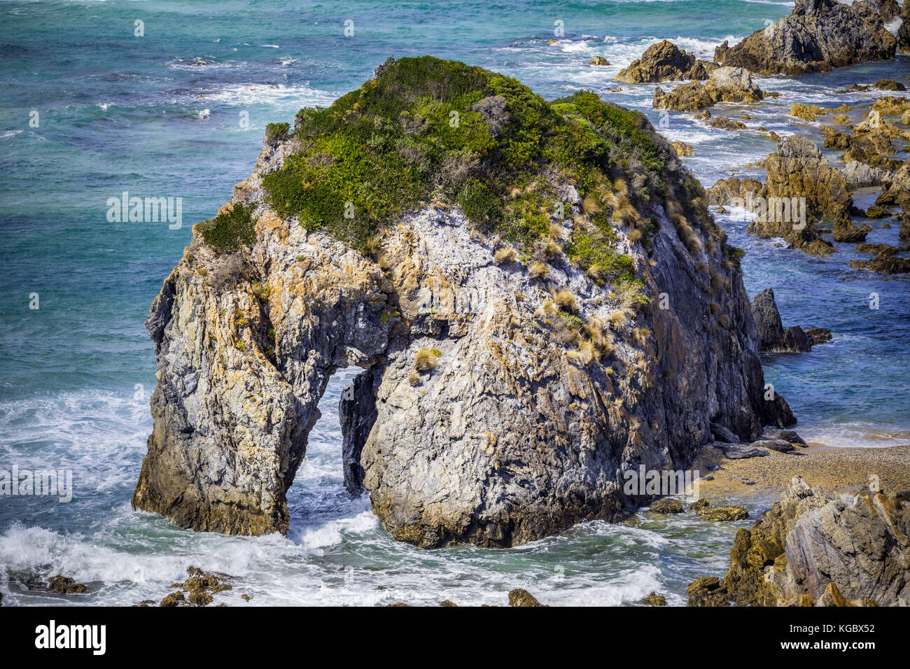 Horse Head rock formation extreme closeup on ocean shore in NSW ...