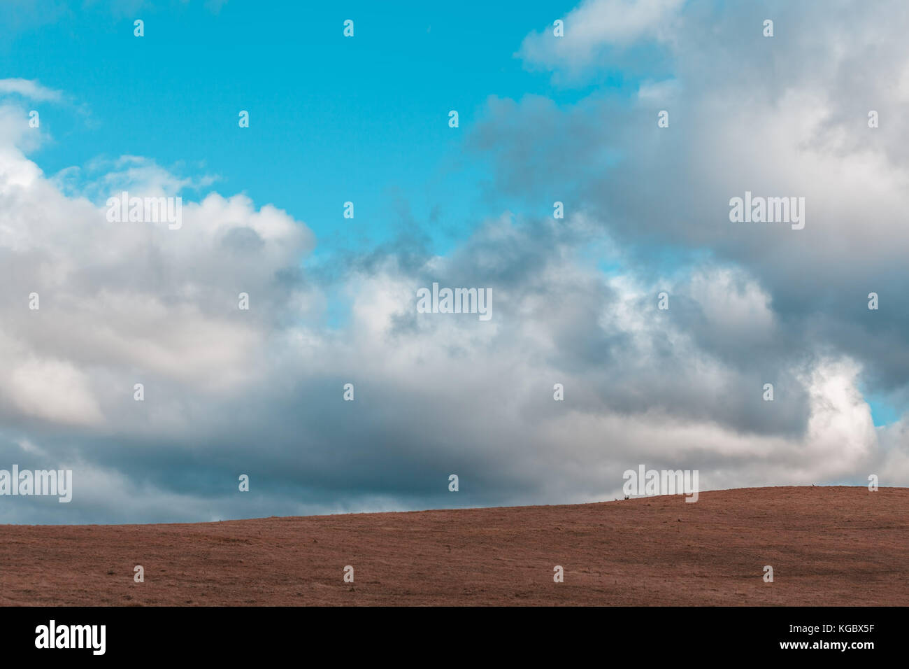 Minimalistic landscape - nothing but meadow, clouds, and sky Stock Photo - Alamy