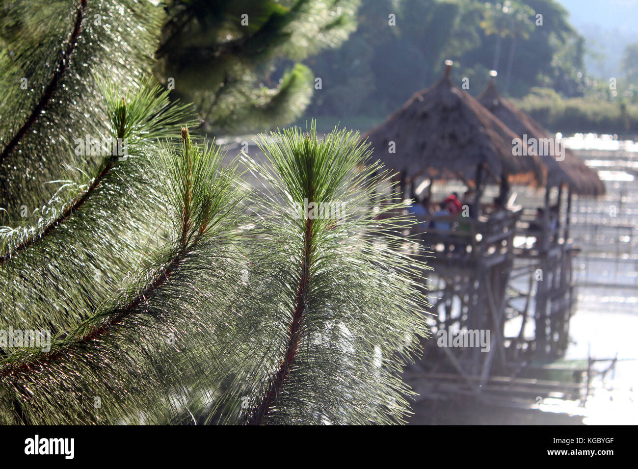 Sebu hi-res stock photography and images - Alamy