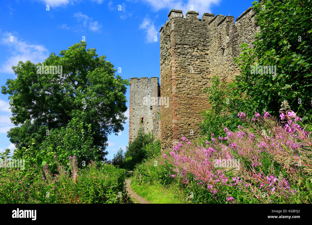Ludlow Castle, Ludlow, Shropshire, England, Europe Stock Photo - Alamy