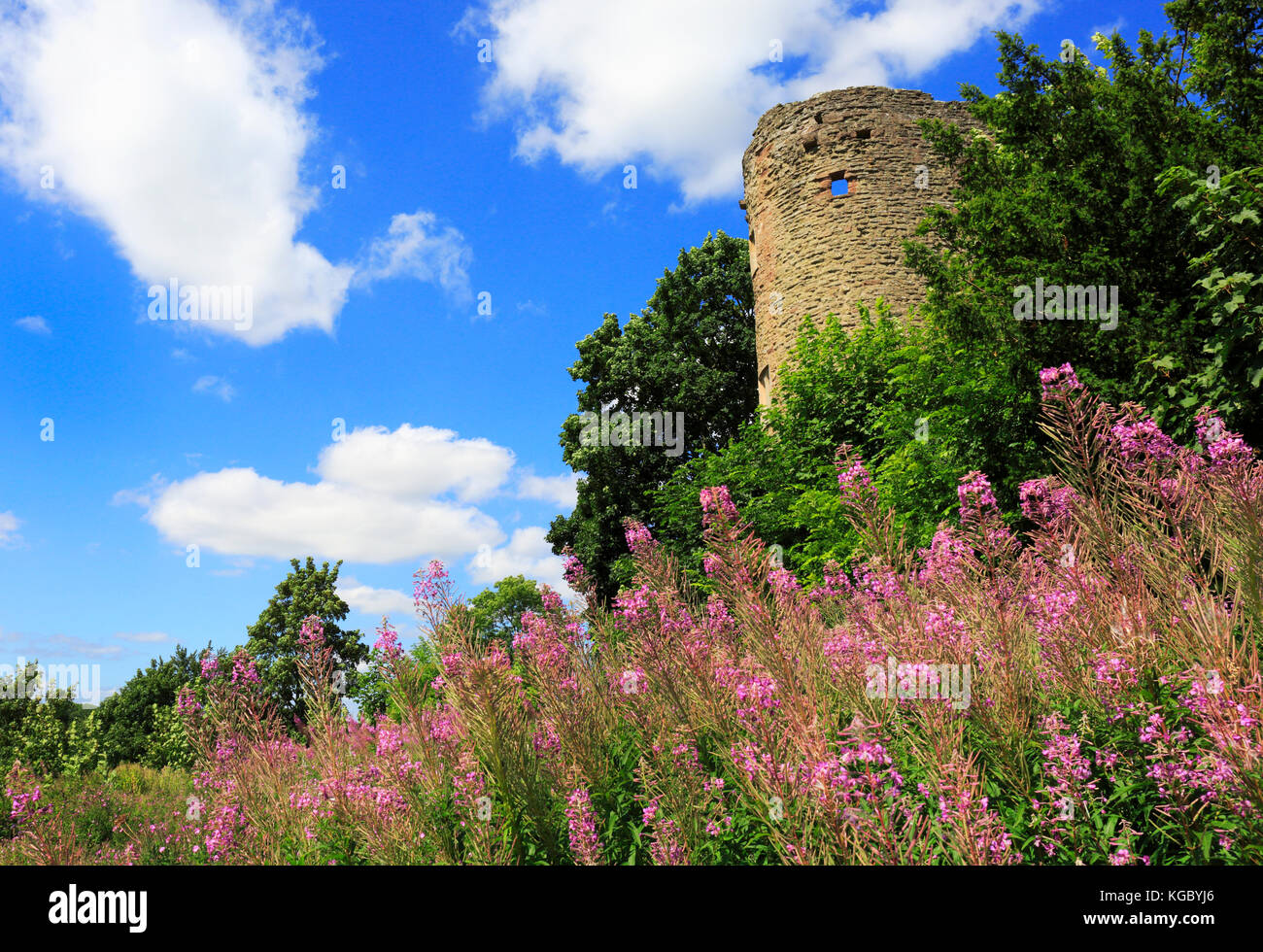 Ludlow Castle, Ludlow, Shropshire, England, Europe Stock Photo - Alamy