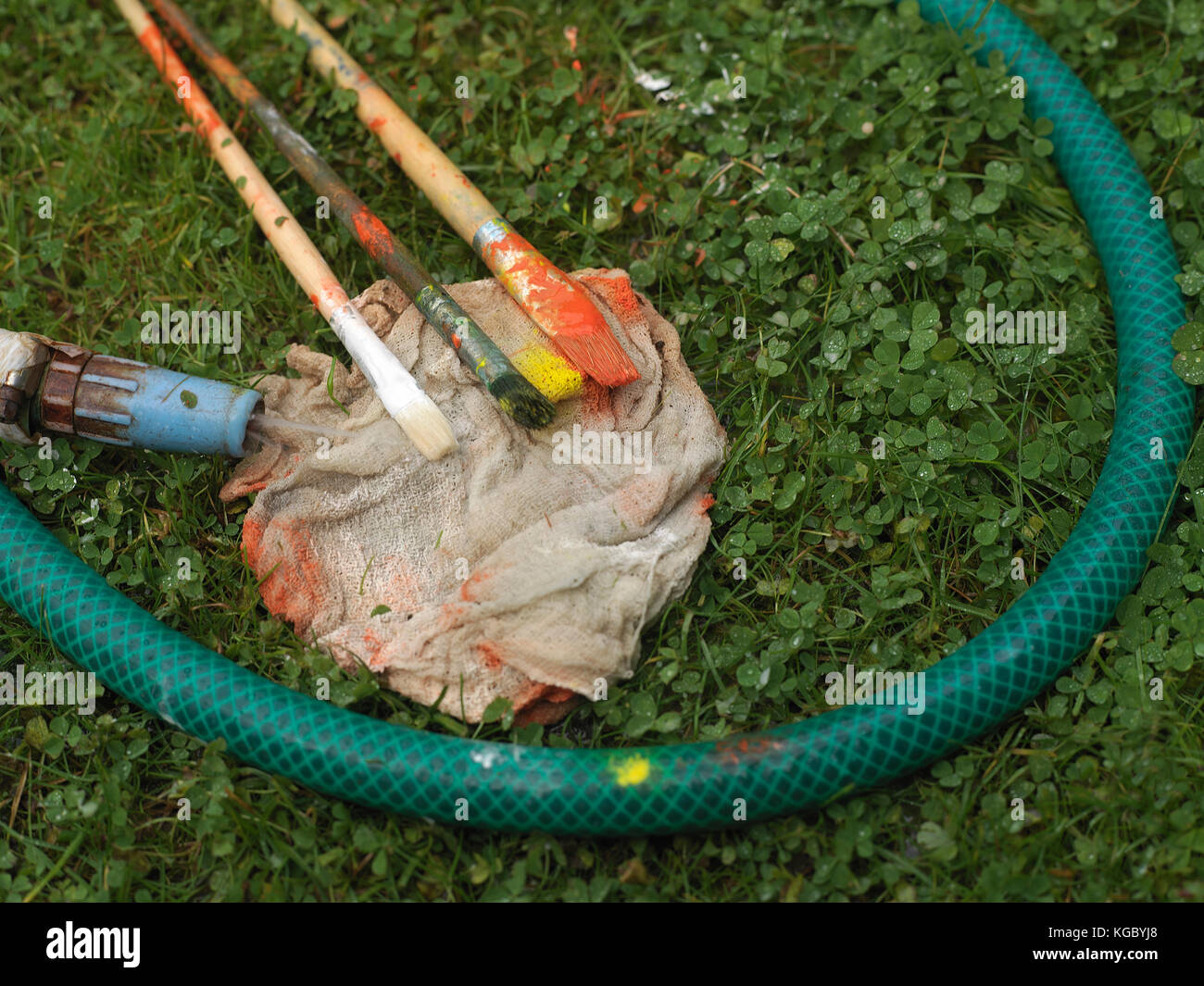 Bunch of dirty paint brushes laid next to a garden hose on the green ...