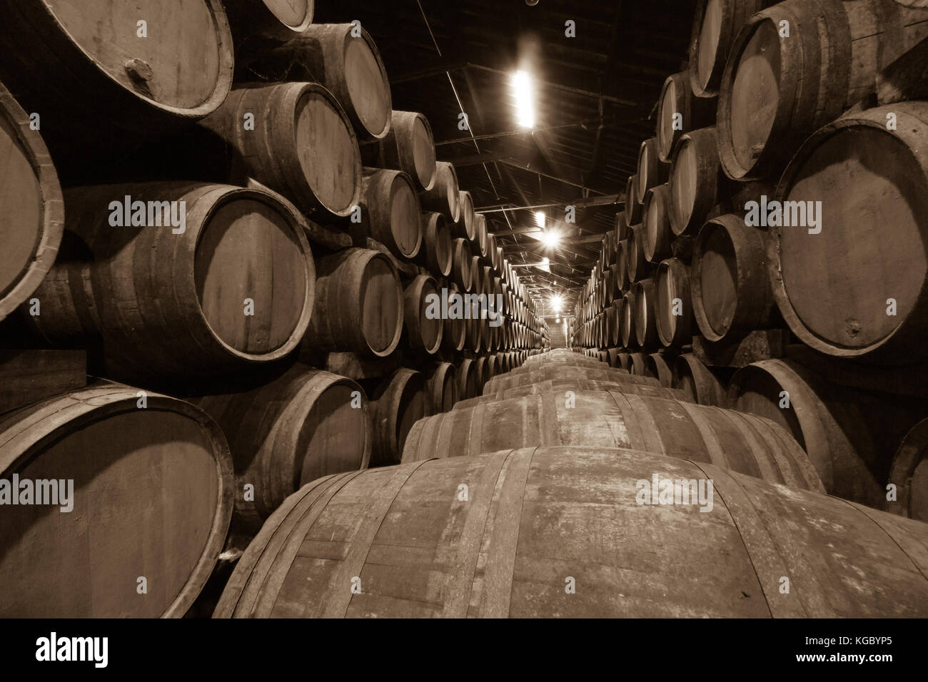 Barrels in the wine cellar Stock Photo - Alamy