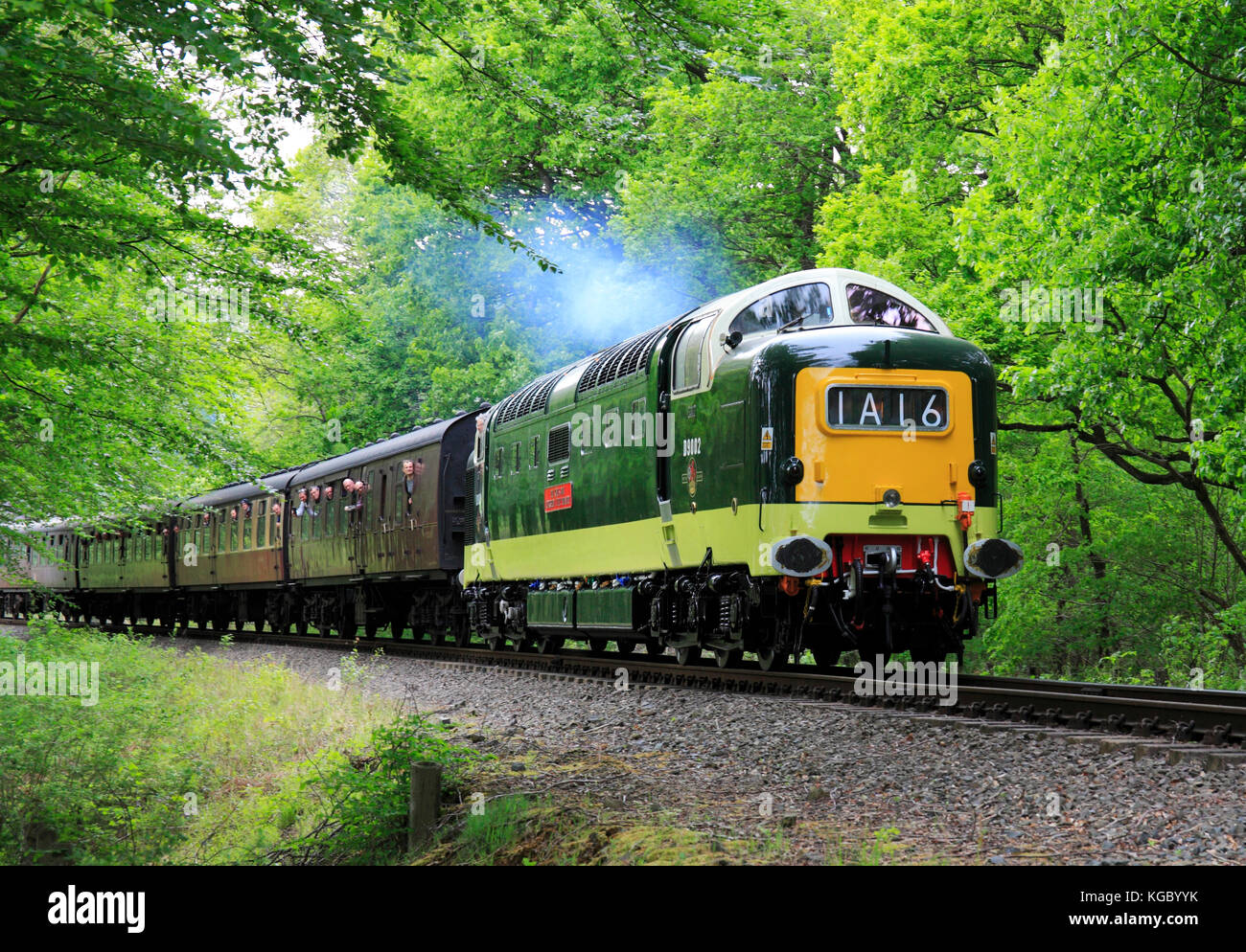 A BR Deltic D9002 pulls a passenger train through Trimpley on the ...