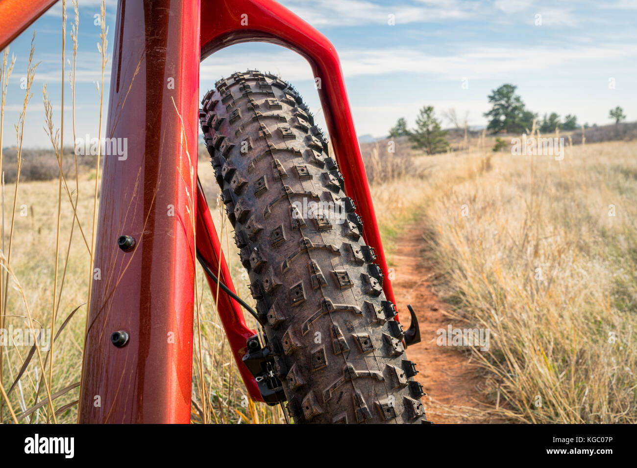 Lory state park hi-res stock photography and images - Alamy