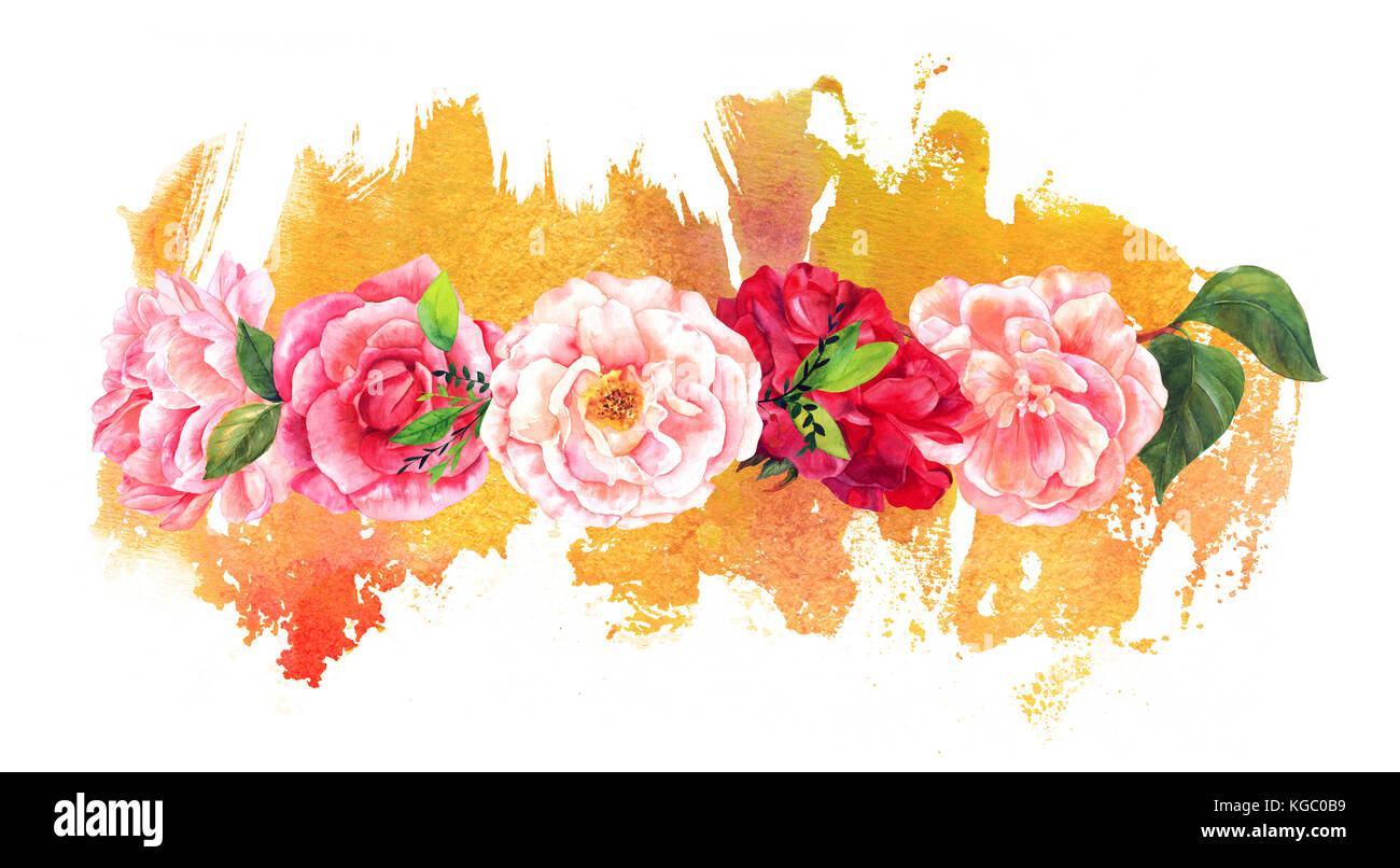 English rose border Cut Out Stock Images & Pictures - Alamy