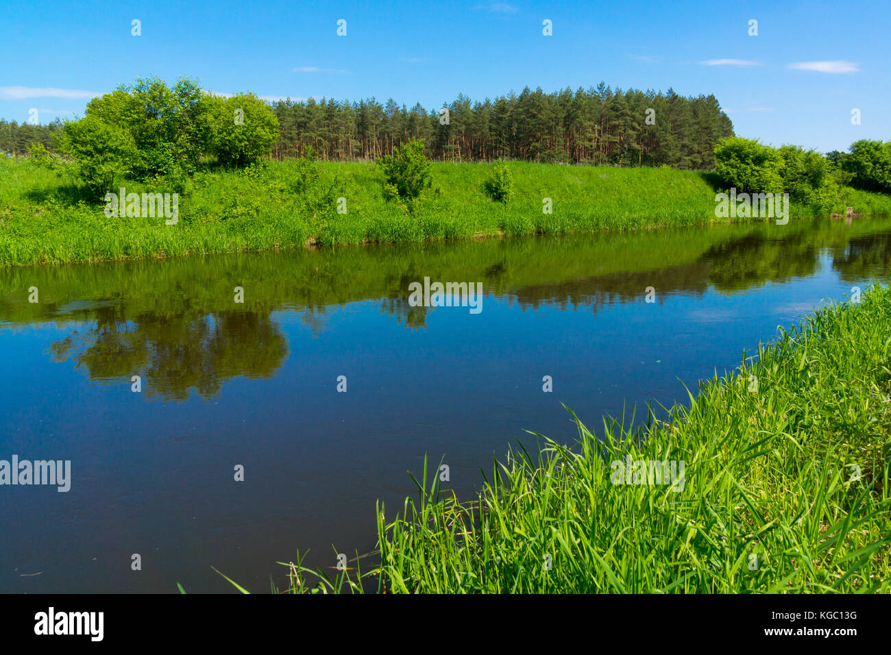 River in the forest landscape Stock Photo - Alamy