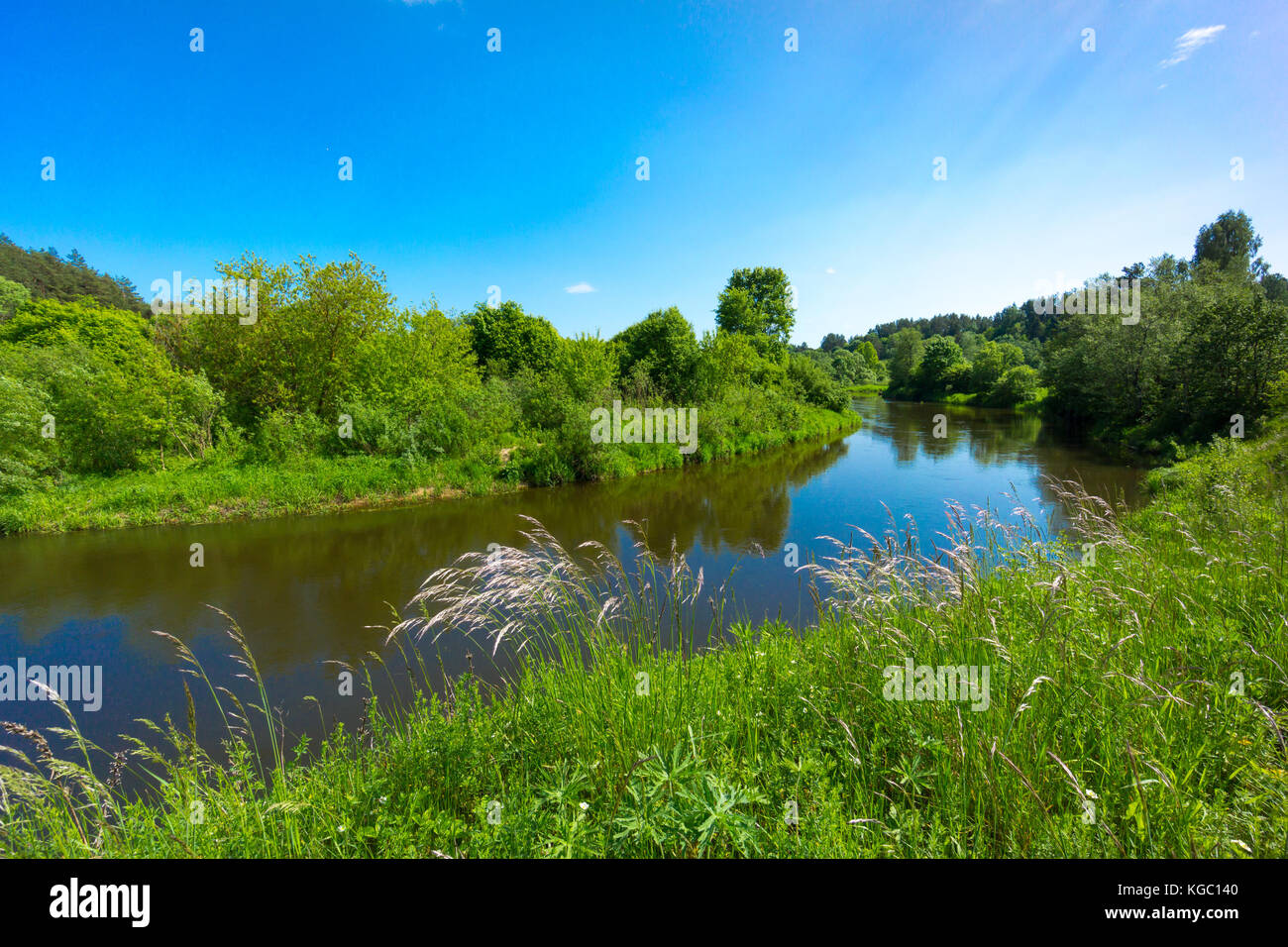 River in the forest landscape Stock Photo - Alamy