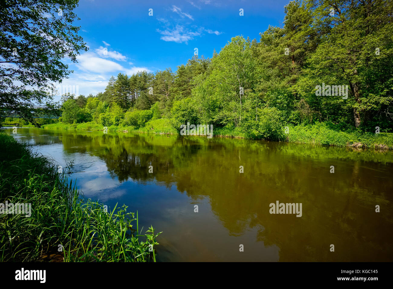 River in the forest landscape Stock Photo - Alamy