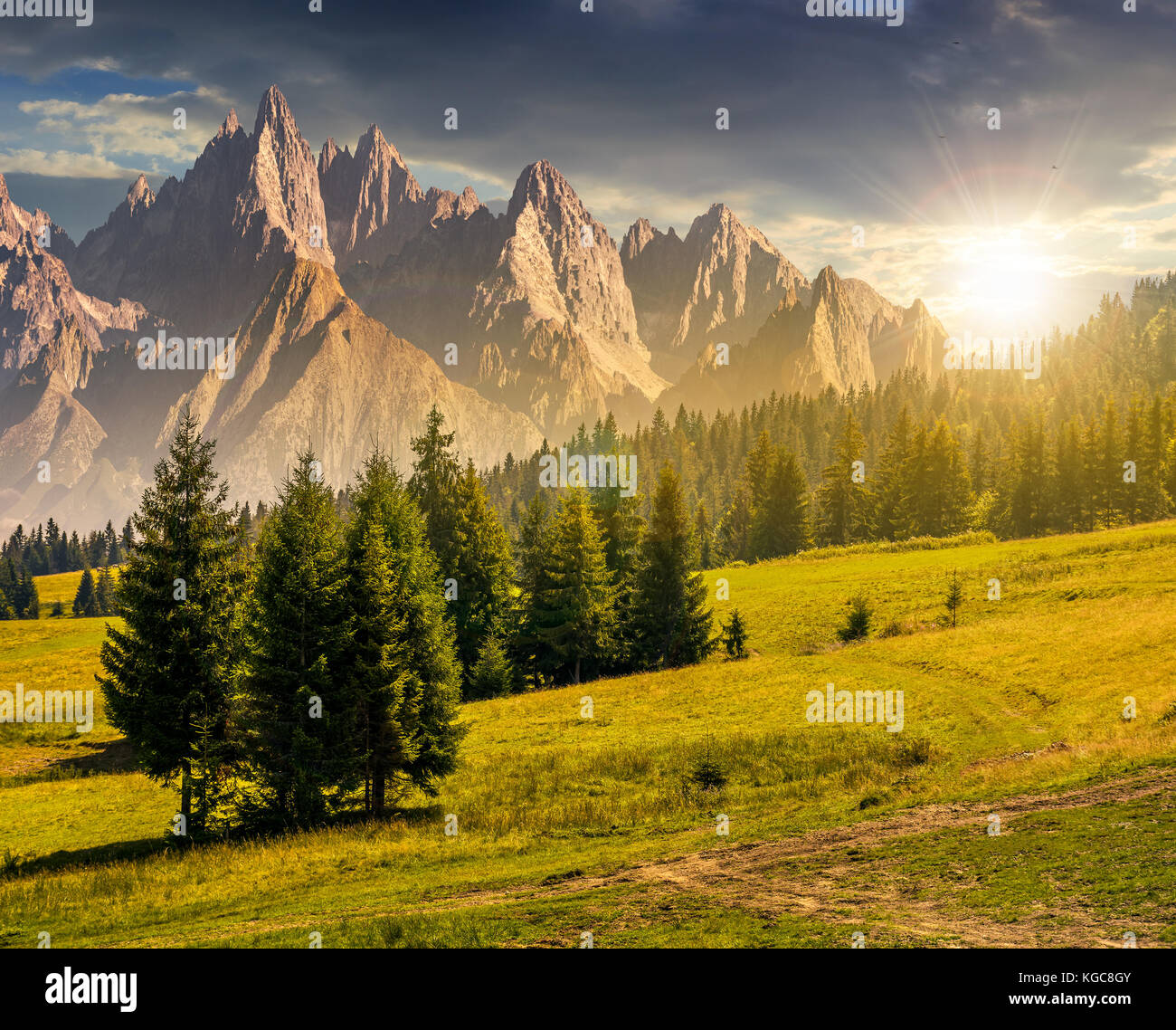 Grassy Hillside Sunset