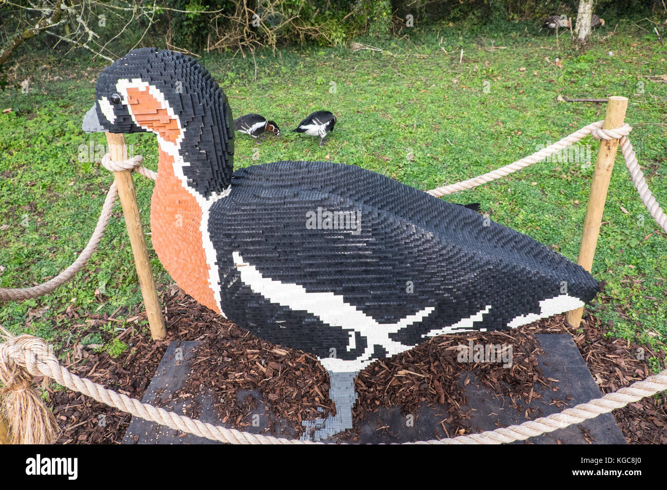 Bruce,red breasted goose,Lego,brick,bricks,animal trail, and real birds ...