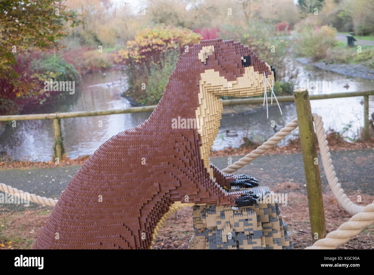Lego otter hi-res stock photography and images - Alamy