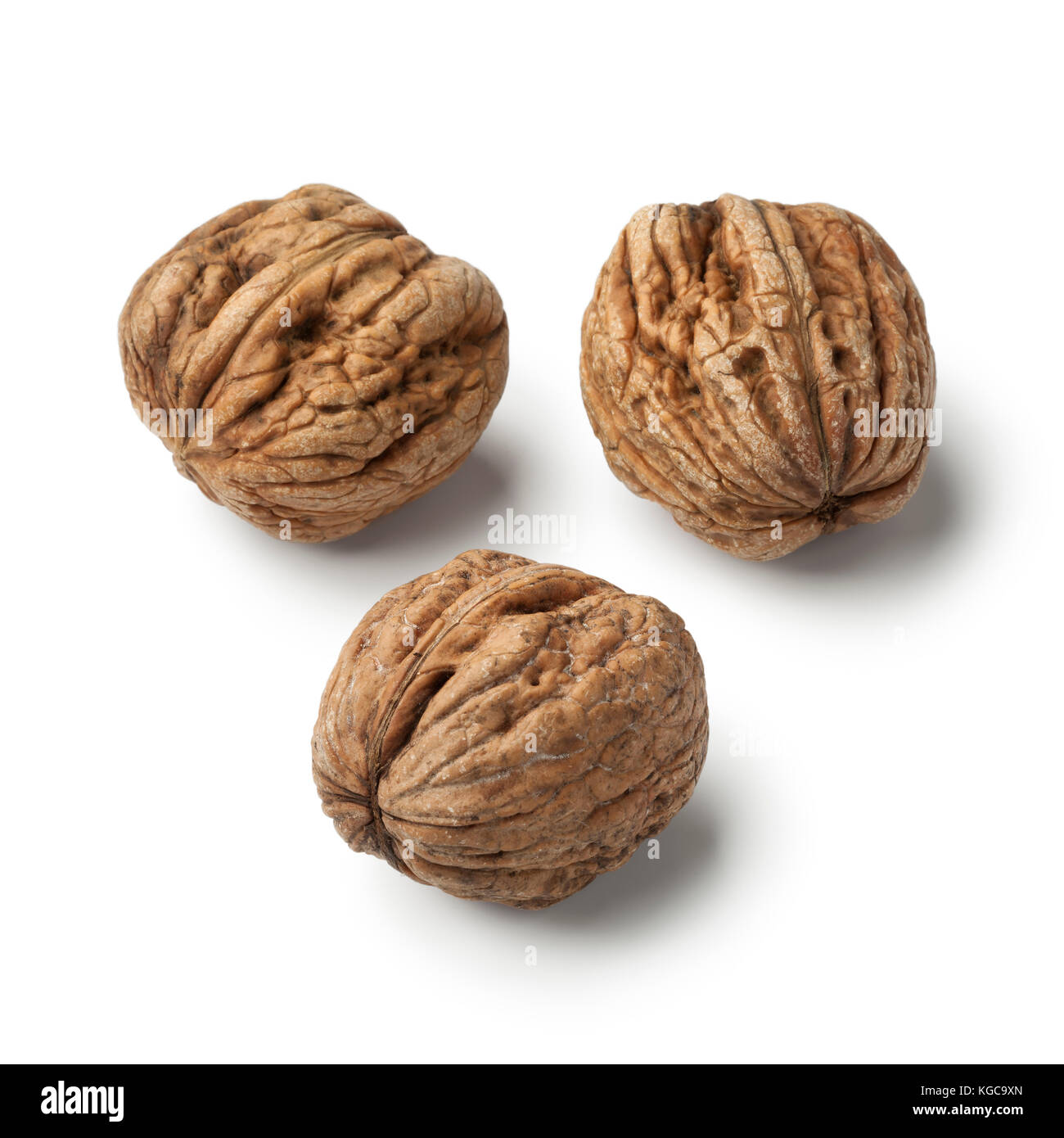 Picked season Cut Out Stock Images & Pictures - Alamy