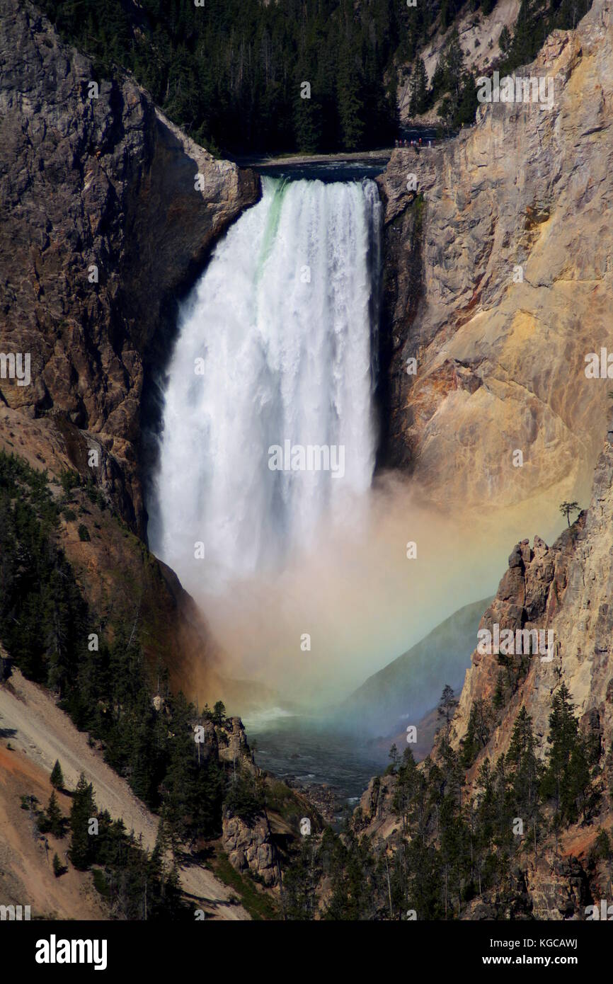 Lower Falls, Yellowstone National Park Stock Photo - Alamy