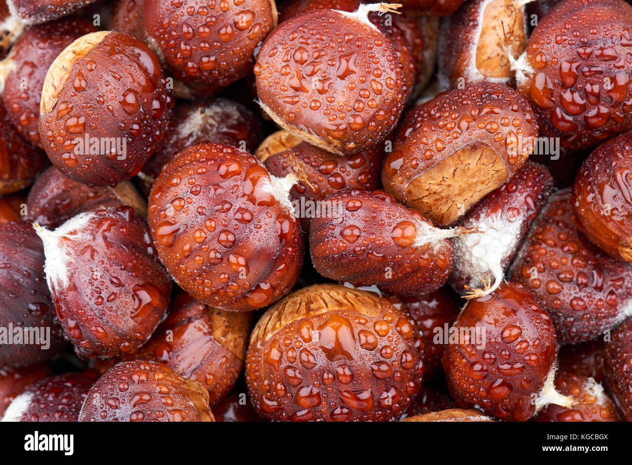 Raw water chestnuts hi-res stock photography and images - Alamy