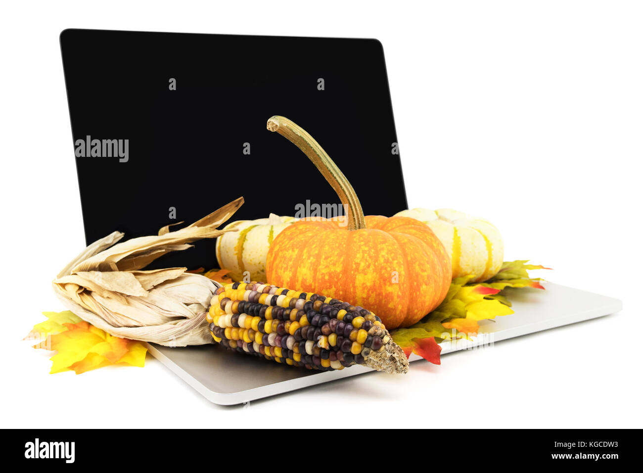 Isolated laptop computer with indian corn and pumpkins Stock Photo - Alamy