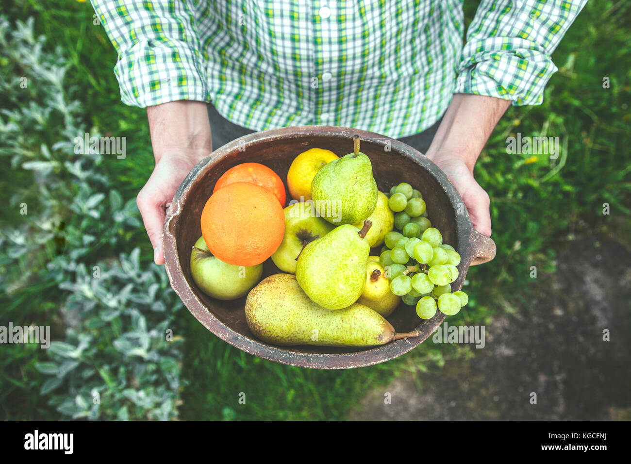 Fresh fruit. Farmer with bowl of fruit.s. Fruit basket Stock Photo - Alamy