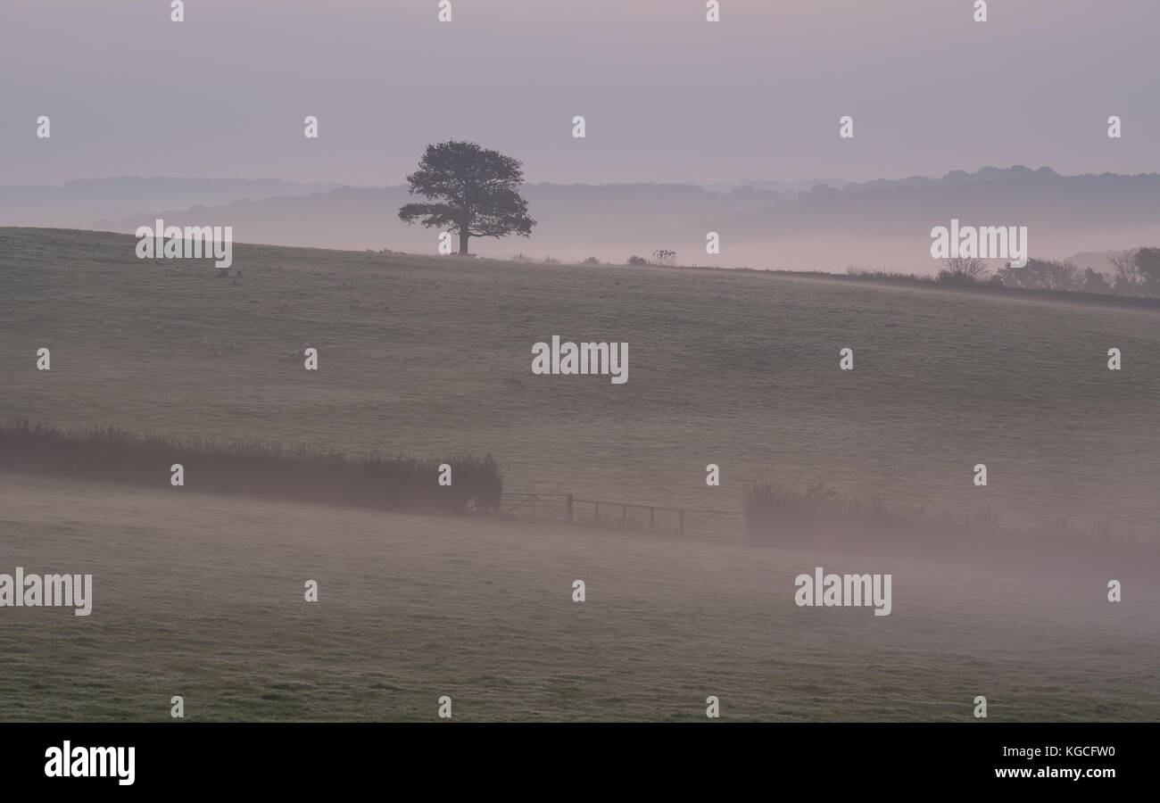 Mist of avalon hi-res stock photography and images - Alamy