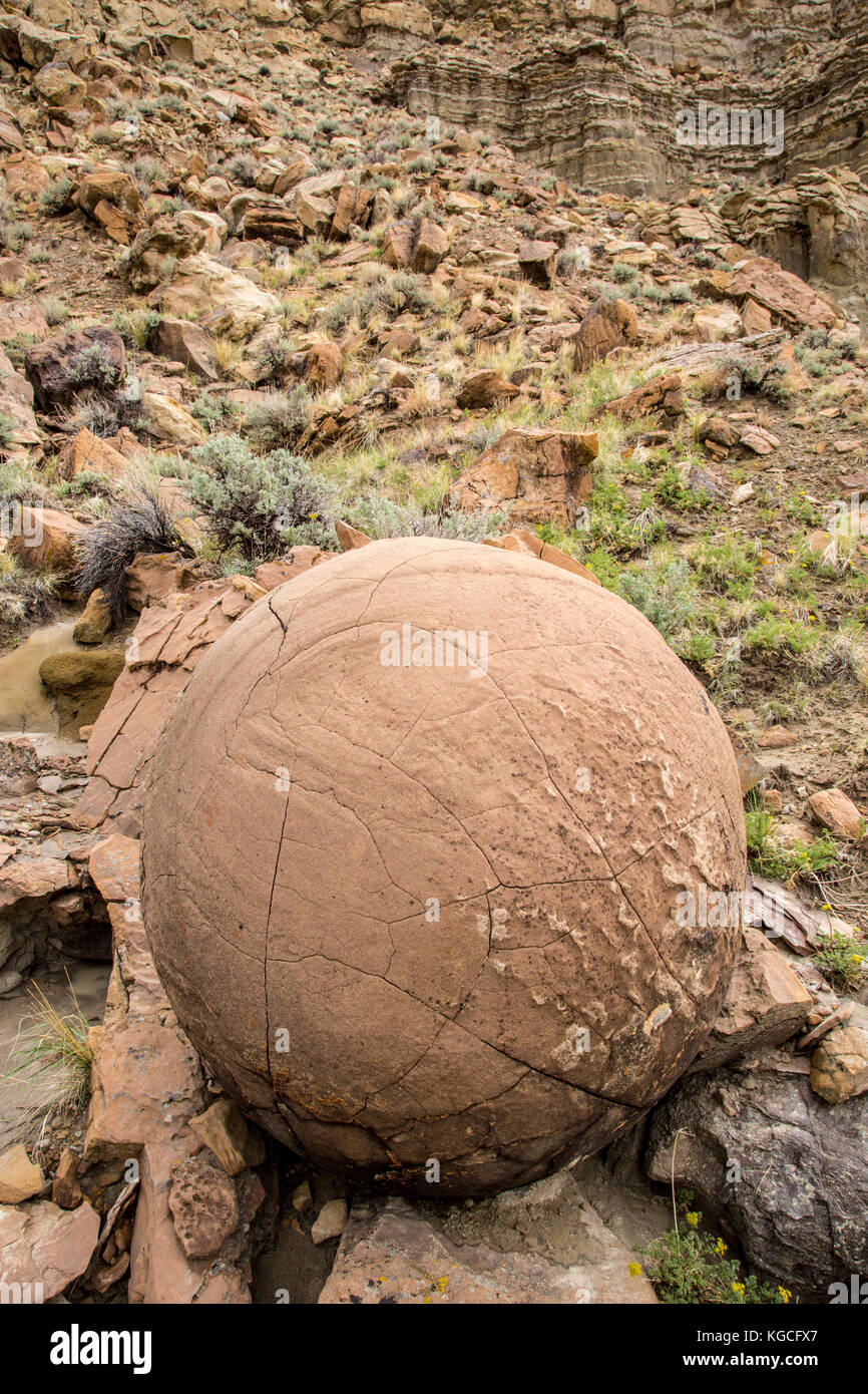 Round sandstone boulder in the Bighorn Basin of Wyoming Stock Photo - Alamy