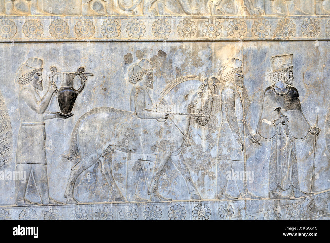 Procession of tribute bearers, bas relief in Apadana, Persepolis, Iran ...