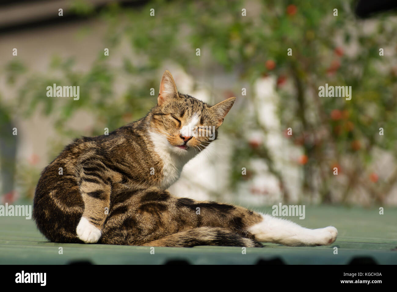 Funny sitting position hi-res stock photography and images - Alamy