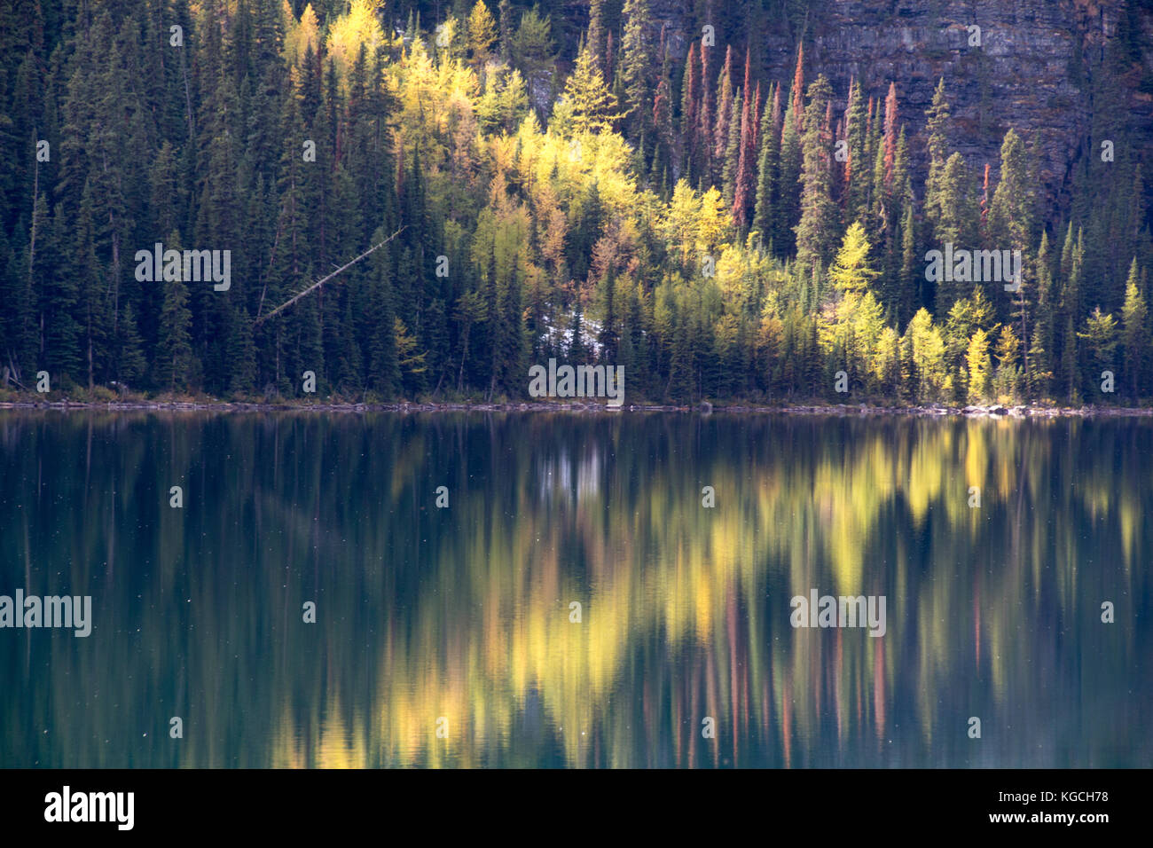 Reflections - Boom Lake in Banff National Park, Alberta, Canada Stock ...