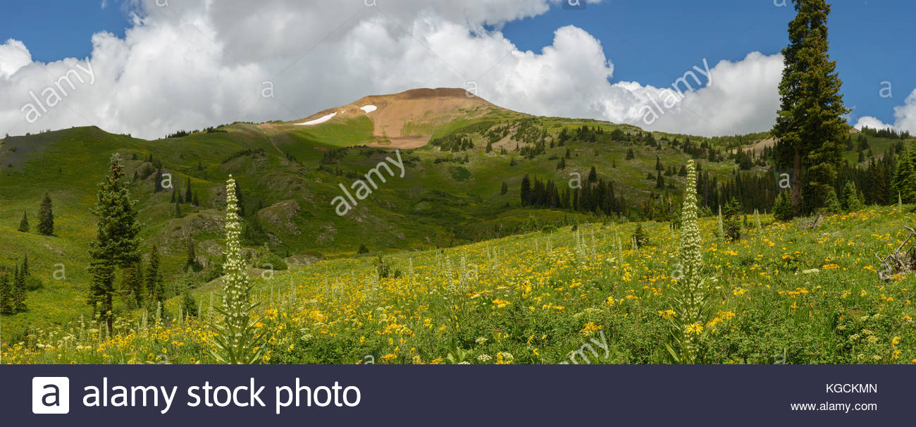 Mt Weed High Resolution Stock Photography and Images - Alamy