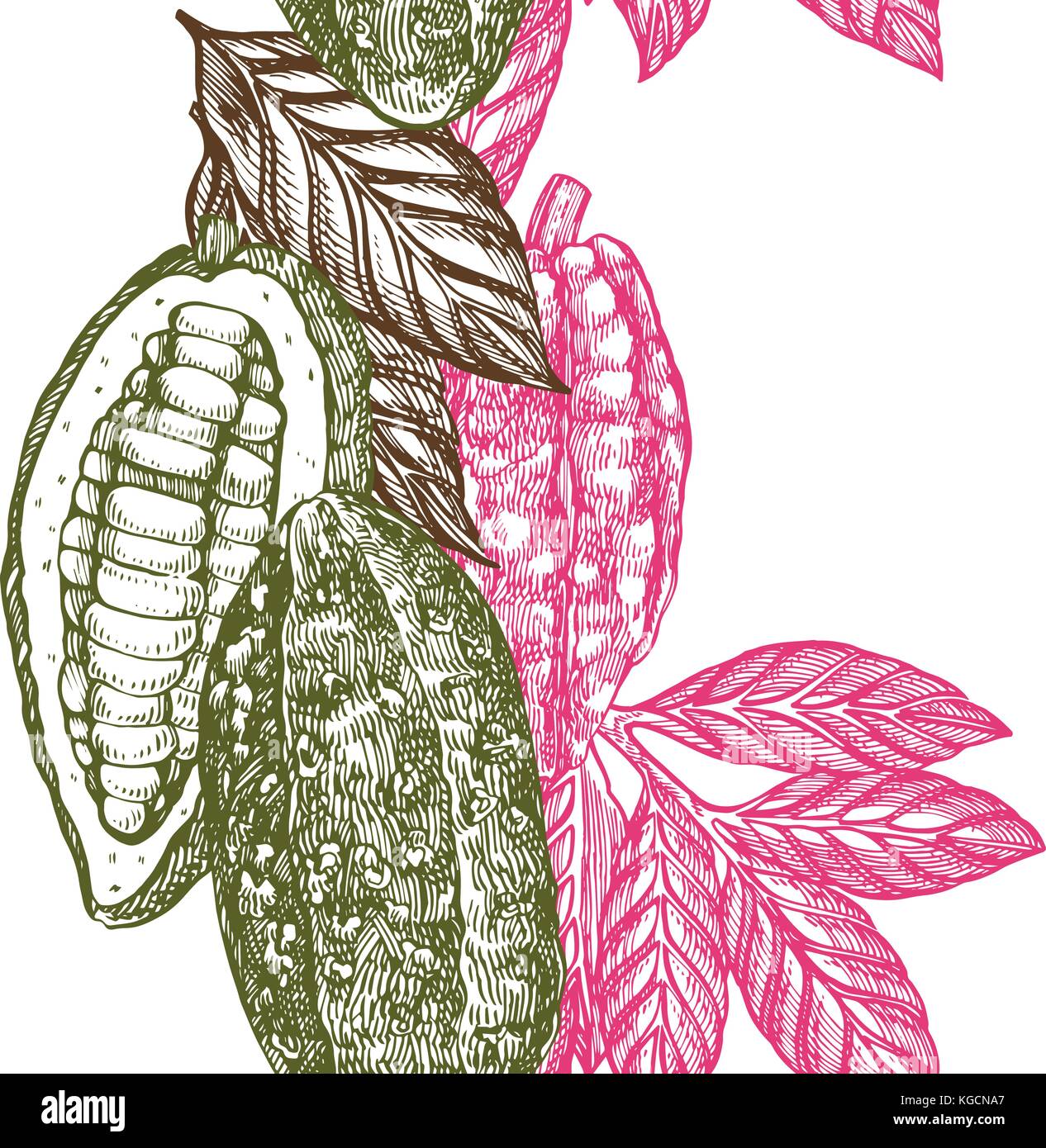 Cocoa branch seamless pattern. Isolated hand drawn illustration on ...