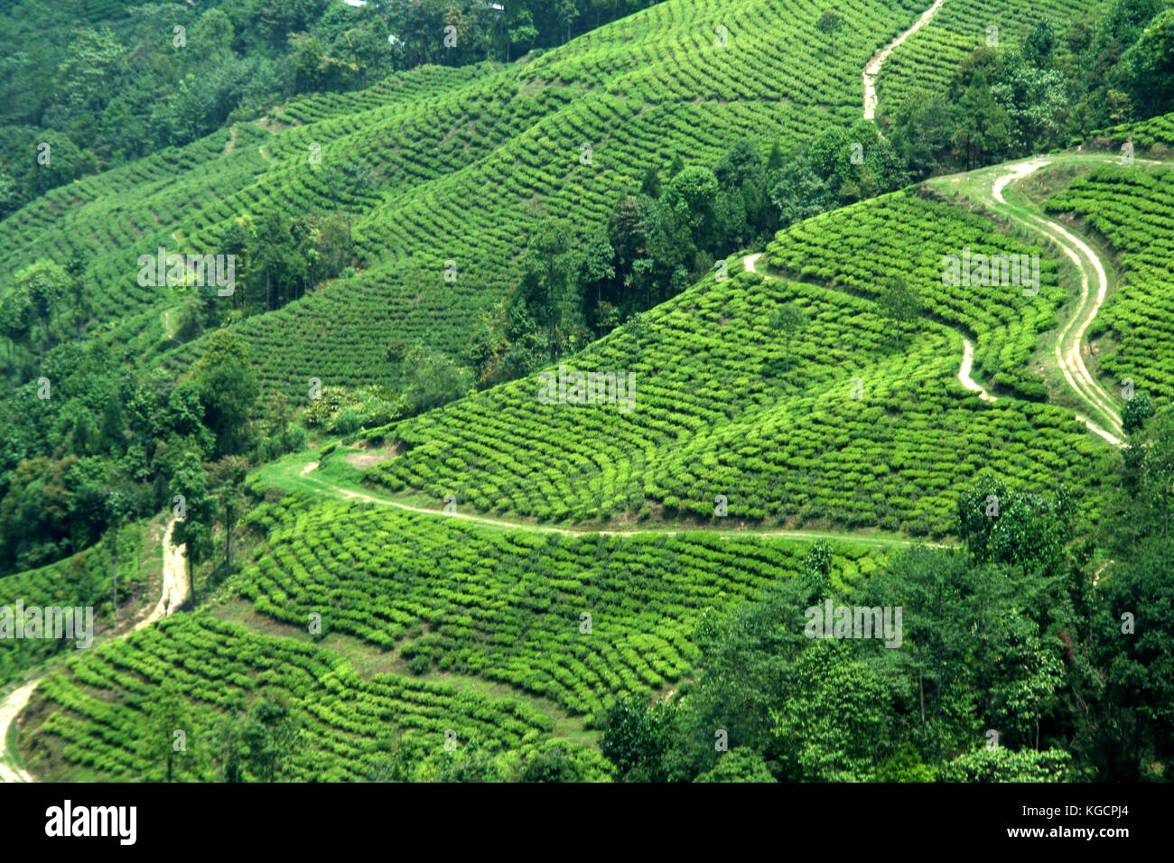 Green mountain slope hi-res stock photography and images - Alamy