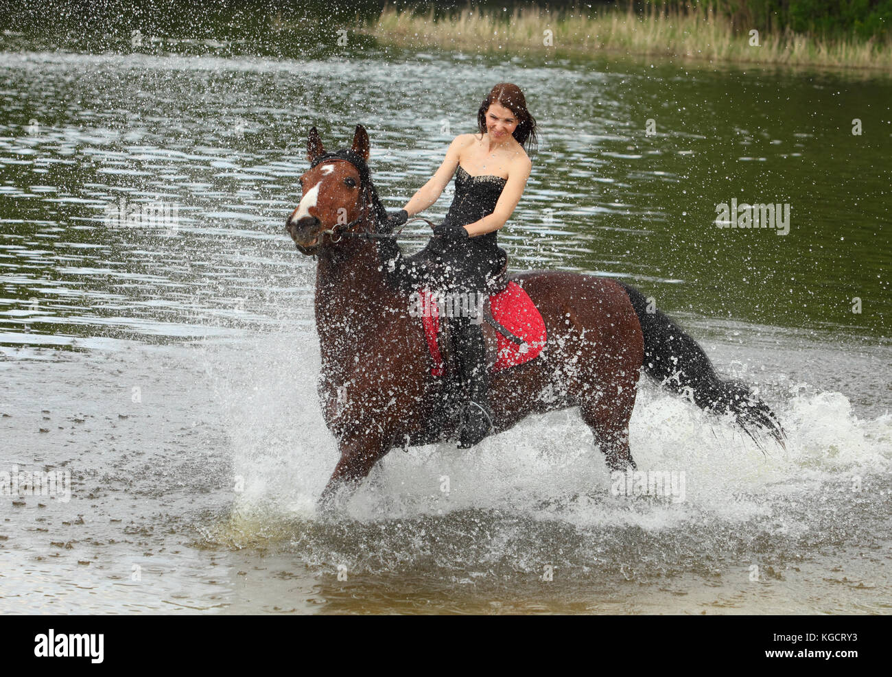 Young lady riding horseback in the river Stock Photo - Alamy