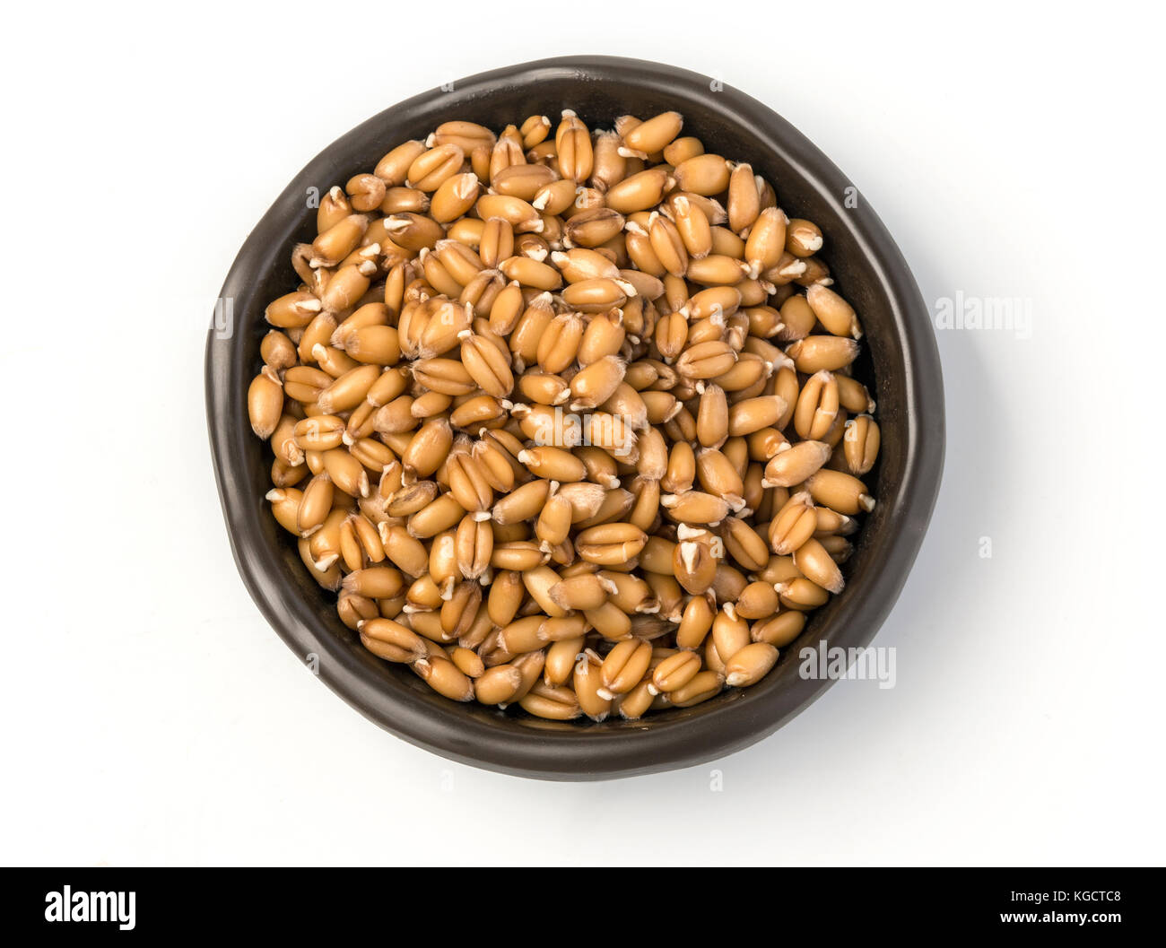 sprouted wheat germ in a bowl isolated on white background Stock Photo ...