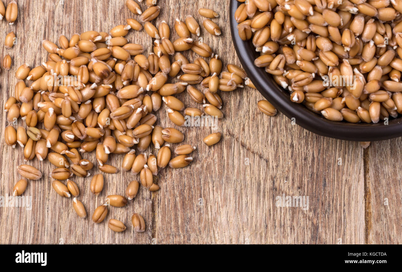 Wheat germ hi-res stock photography and images - Alamy
