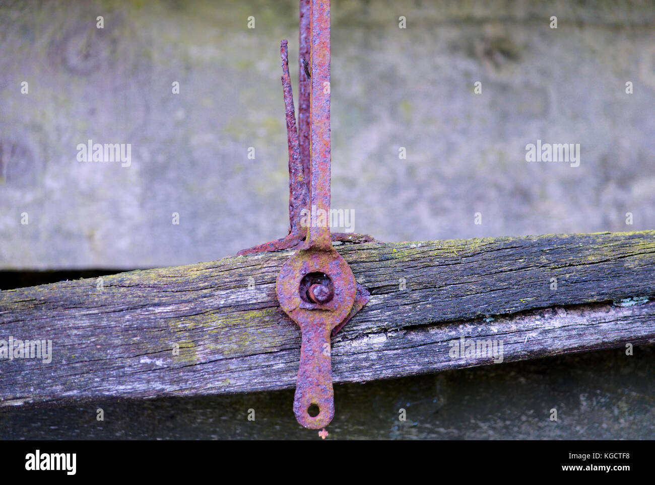 Old wooden garden scales Stock Photo - Alamy