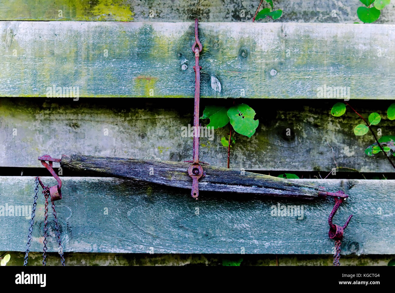 Old wooden garden scales Stock Photo - Alamy