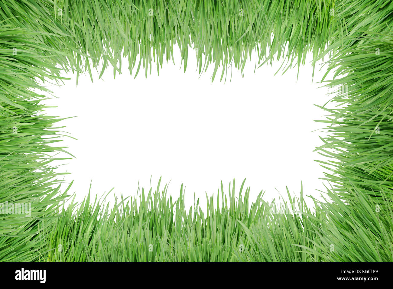 Fluffy natural frame made of real grass on white Stock Photo - Alamy