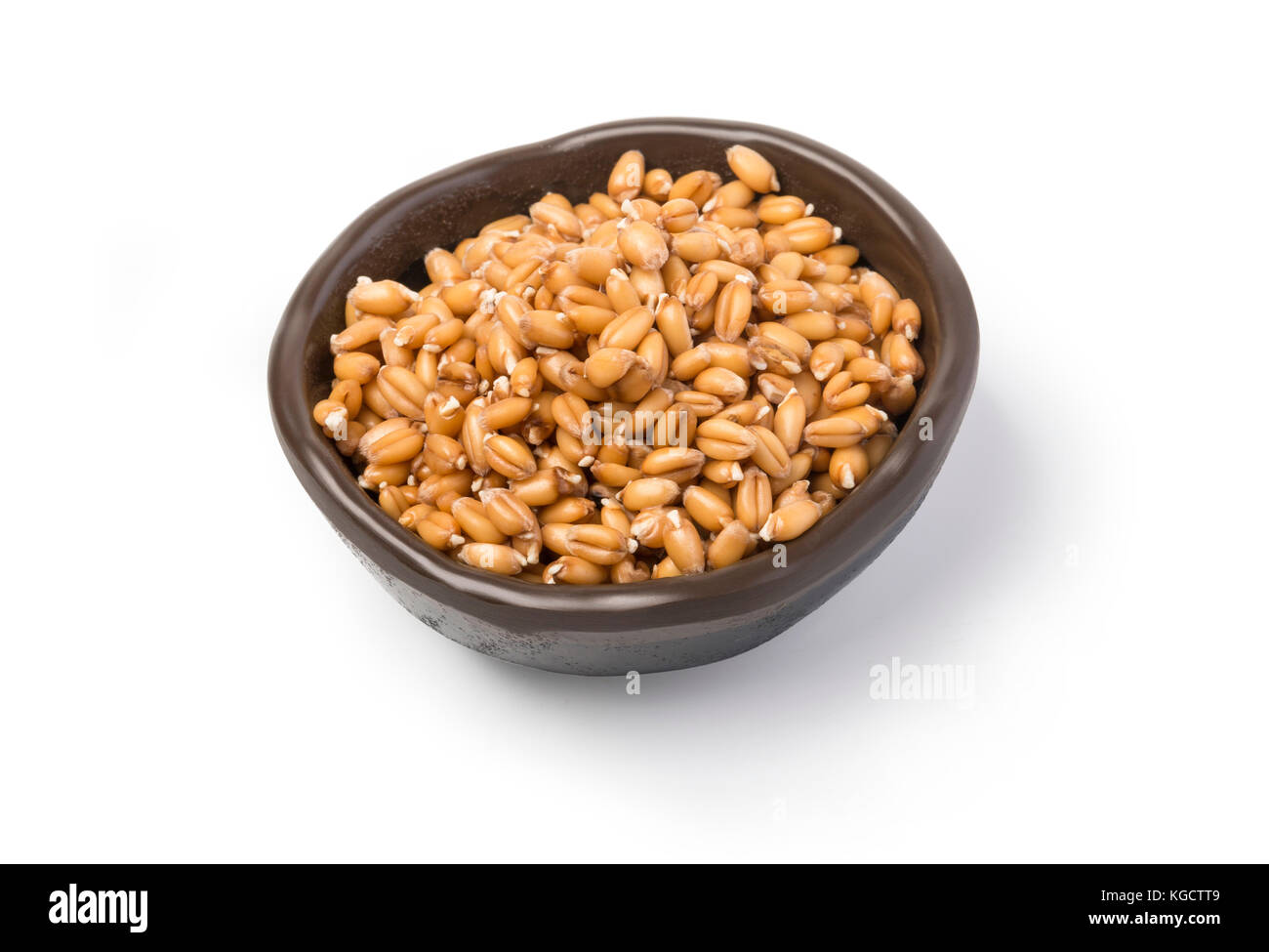 raw sprouted wheat germ for healthy food in a brown ceramic bowl ...